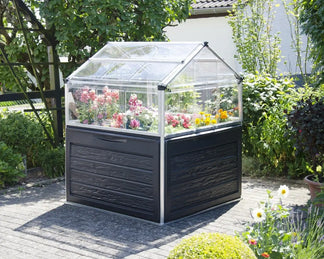 Plant Inn - Clear | Palram-Canopia – Canada Greenhouse Kits